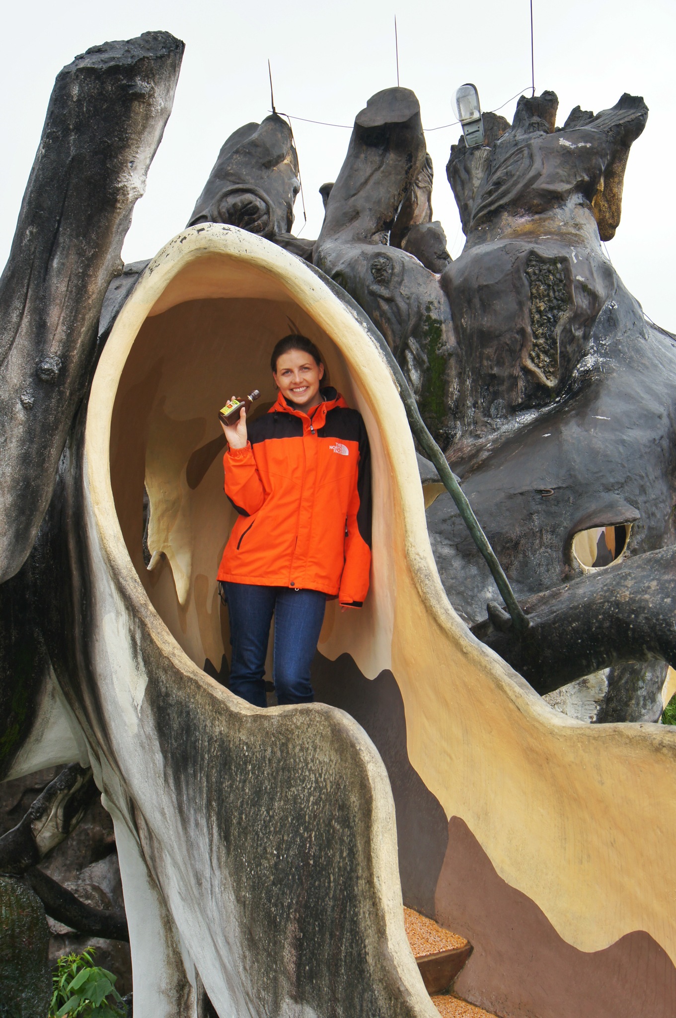 Gallery - Notes of Nomads