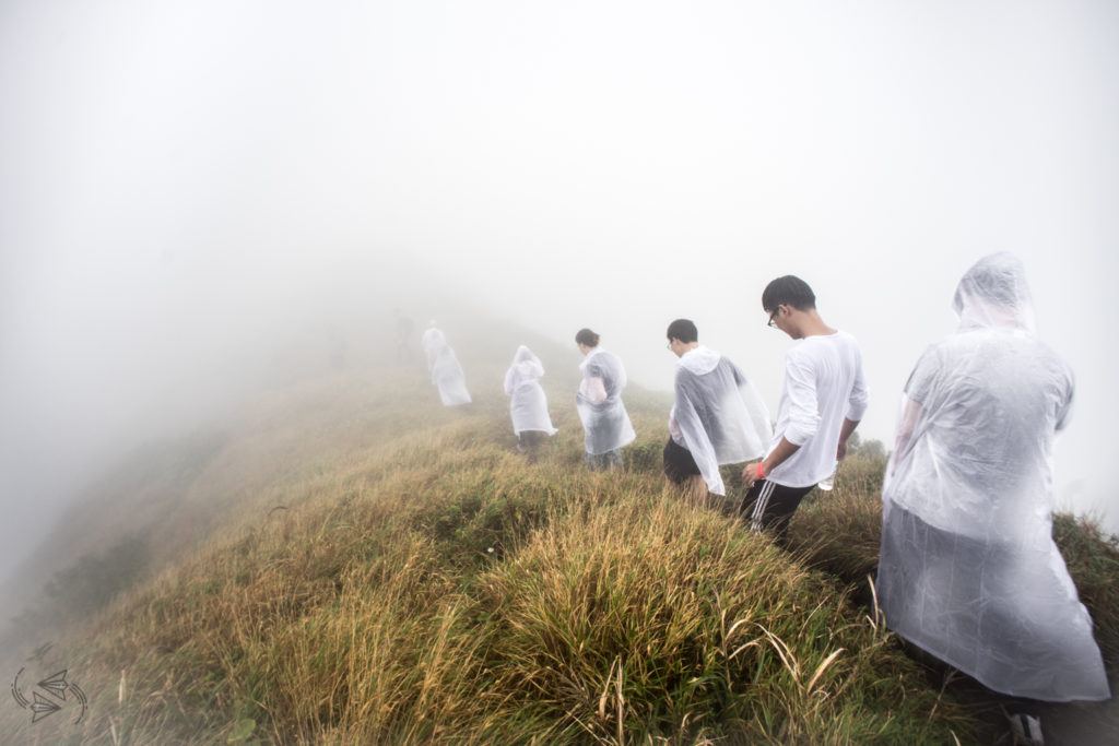 Travel guide to Tokyo's semi-tropical Hachijo Island (Hachijojima)