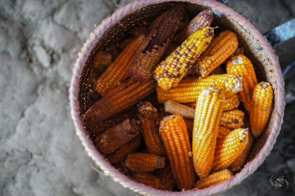 Homestay Sapa: The Most Authentic Homestay in Sapa, Vietnam