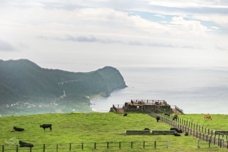 Travel guide to Tokyo's semi-tropical Hachijo Island (Hachijojima)