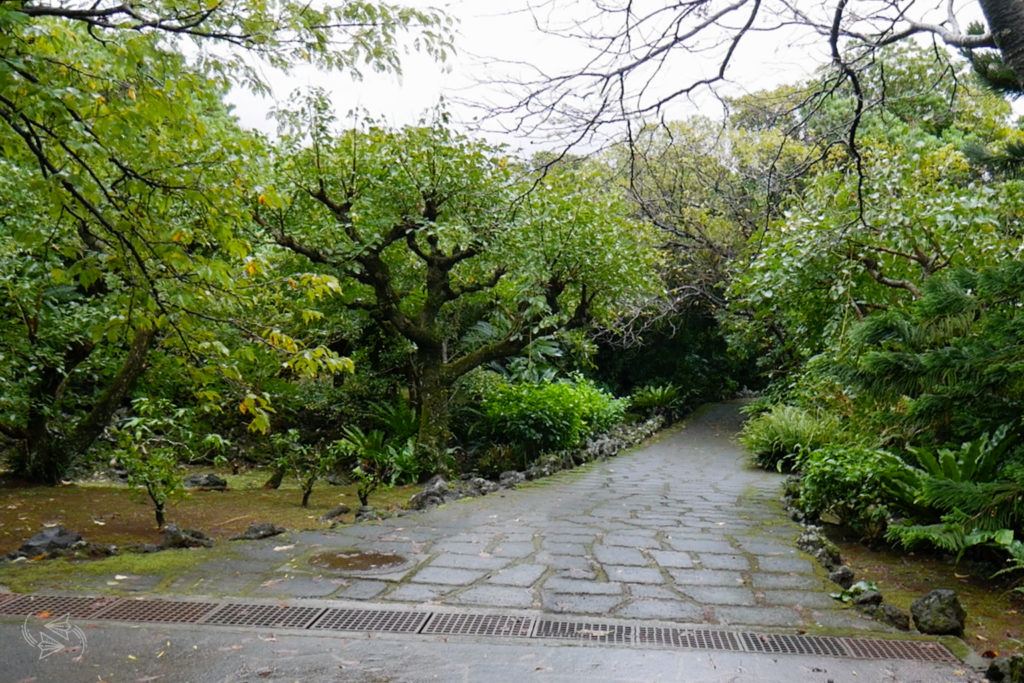 Travel guide to Tokyo's semi-tropical Hachijo Island (Hachijojima)